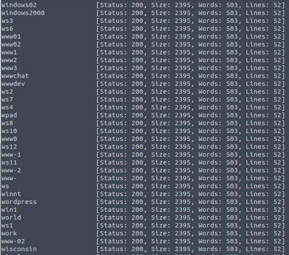 Subdomain Enumeration